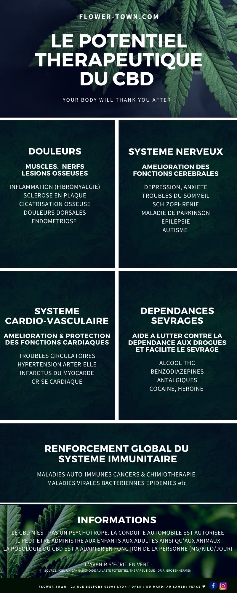 Le potentiel thérapeutique du CBD - Flower-Town CBD shop 🌺